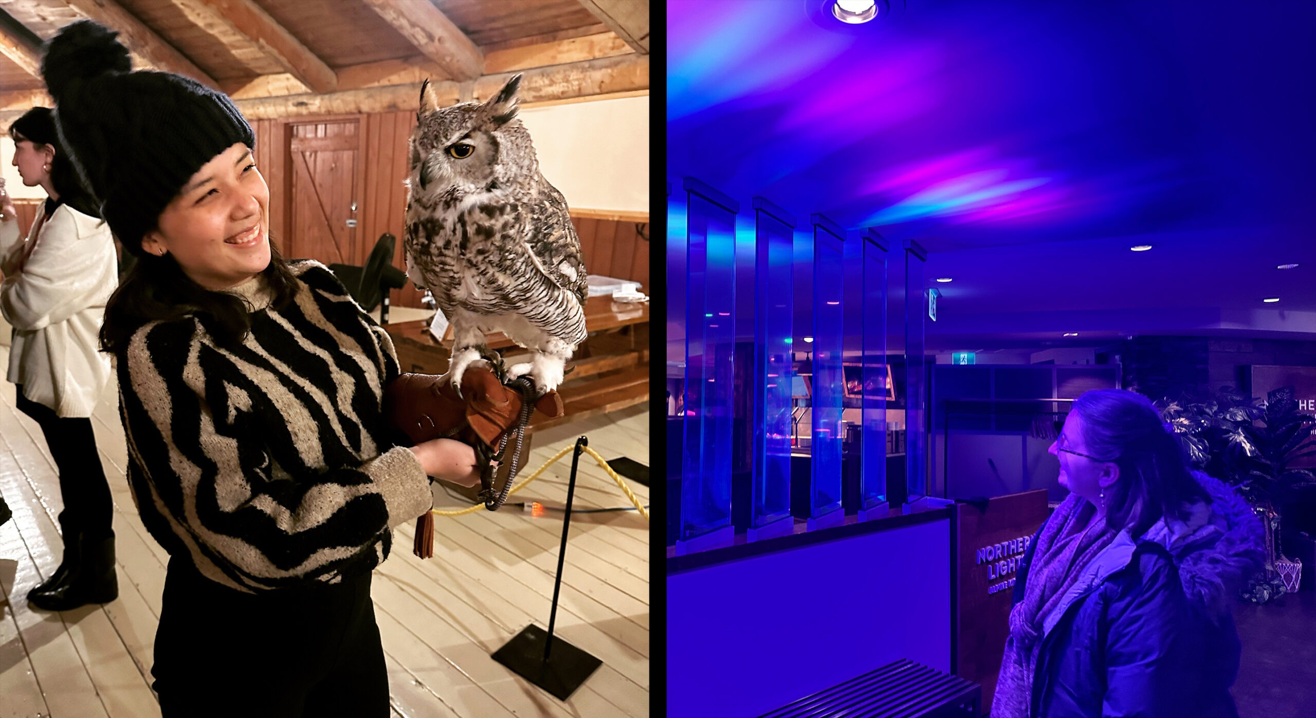 FMS at IALD Enlighten Americas 2023 - FISHER MARANTZ STONE